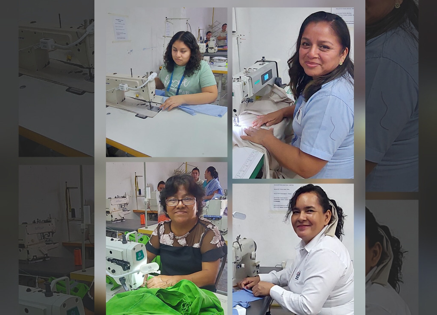 Conoce a Grupo Almer